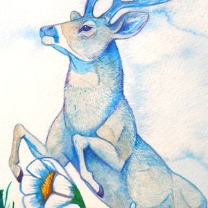 Bounding Buck ORIGINAL Watercolor Painting One of a Kind Wildlife ...
