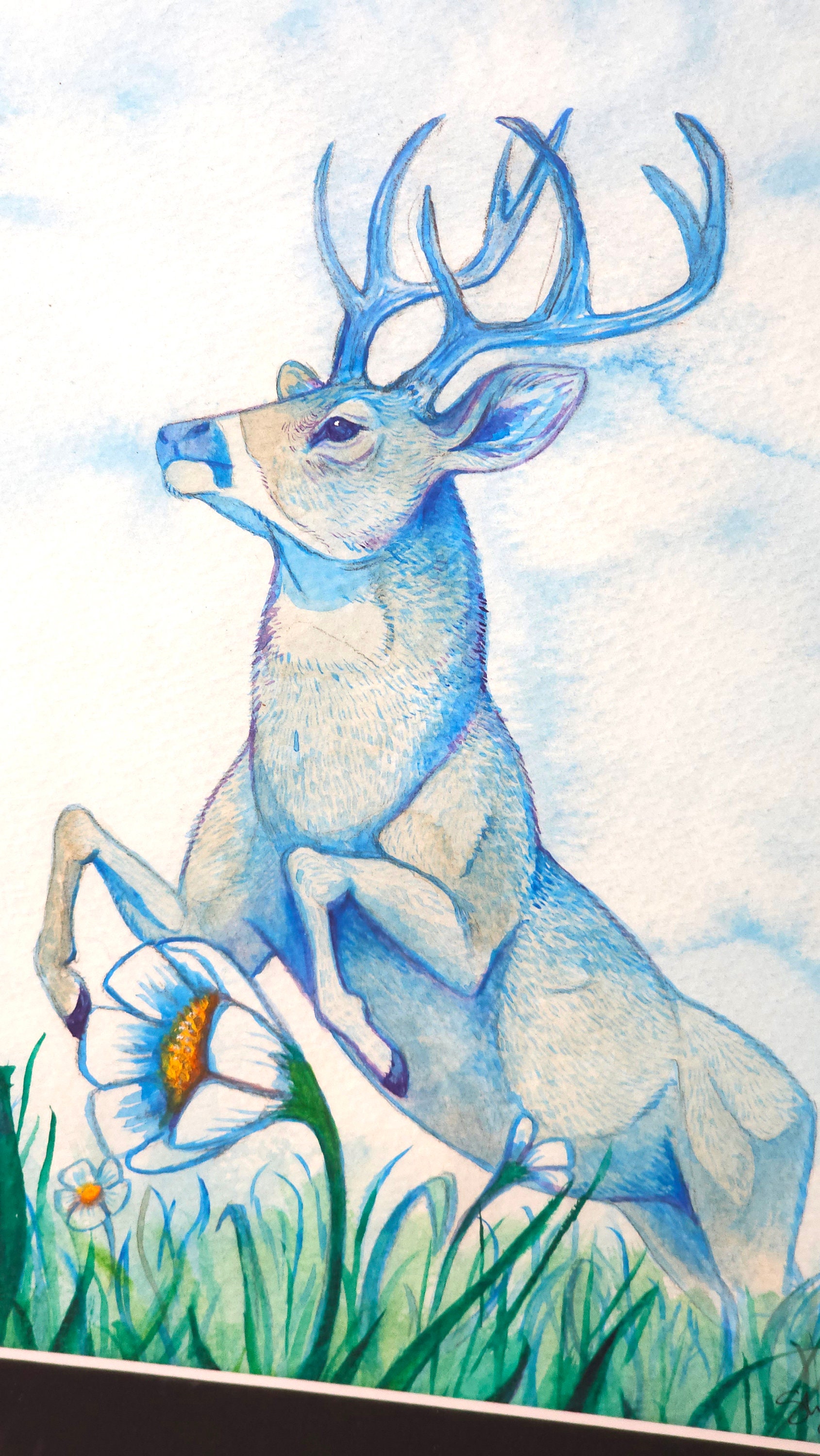 Bounding Buck ORIGINAL Watercolor Painting One of a Kind Wildlife ...