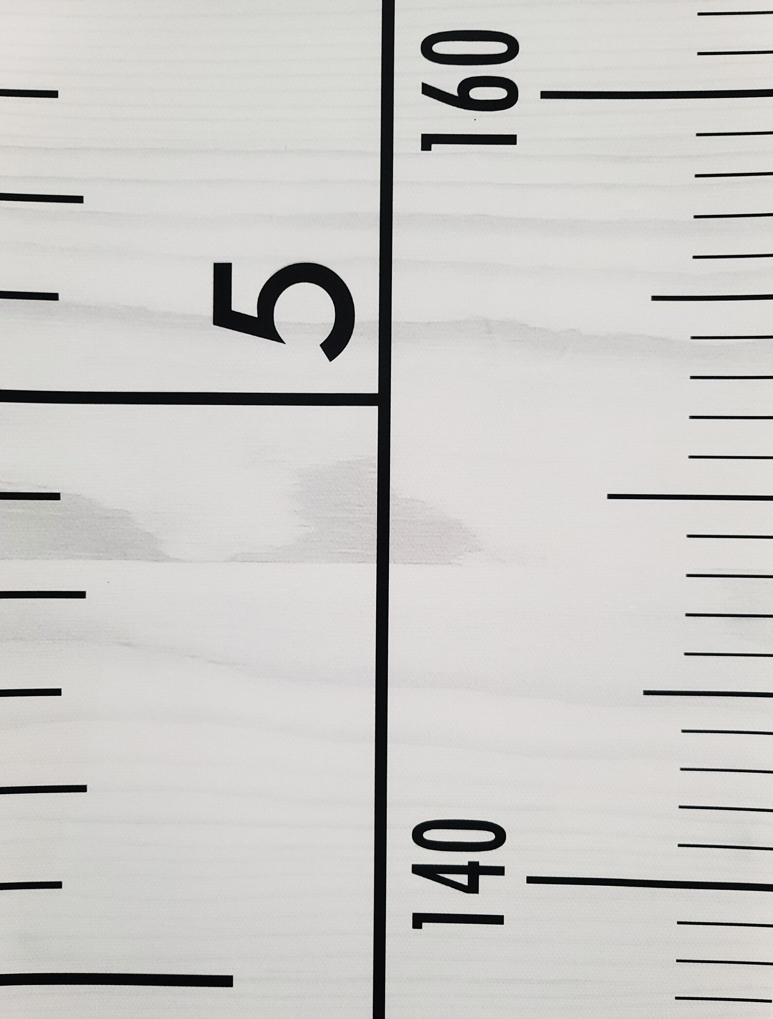 Growth Scale Growth Chart - Etsy