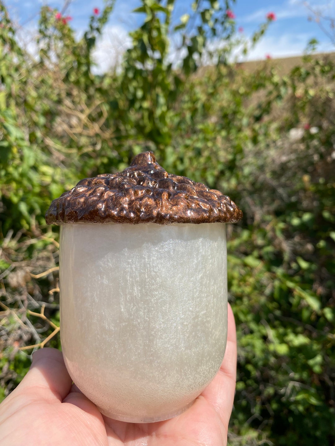 Acorn Nut Jar, Jars With Lids, Stash Jar, Storage Container, Resin Jar ...