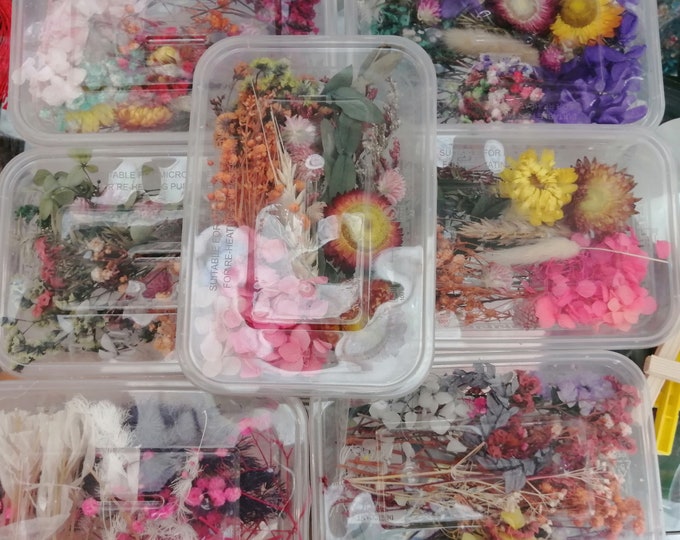 Beautiful Dried Flower Set ~ DIY KIT - Etsy