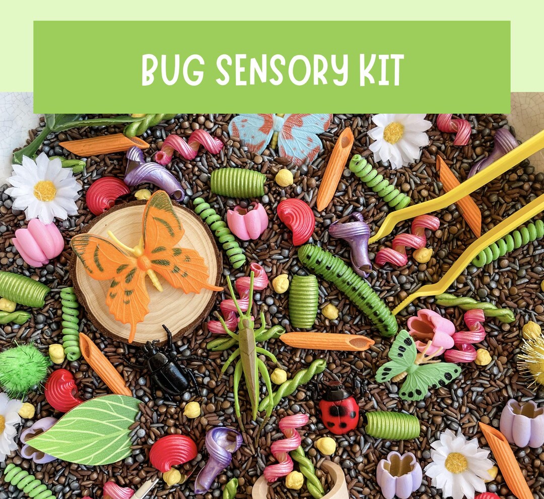 Bugs Sensory Bin Garden Sensory Bin Insect Sensory Bin Bugs Sensory Kit ...
