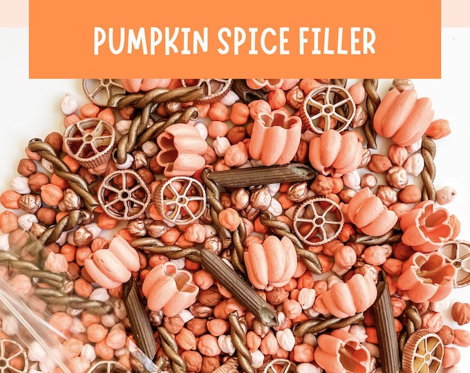 Fall Pumpkin Spice Sensory Filler Fall Sensory Bin Pumpkin Sensory Bin ...