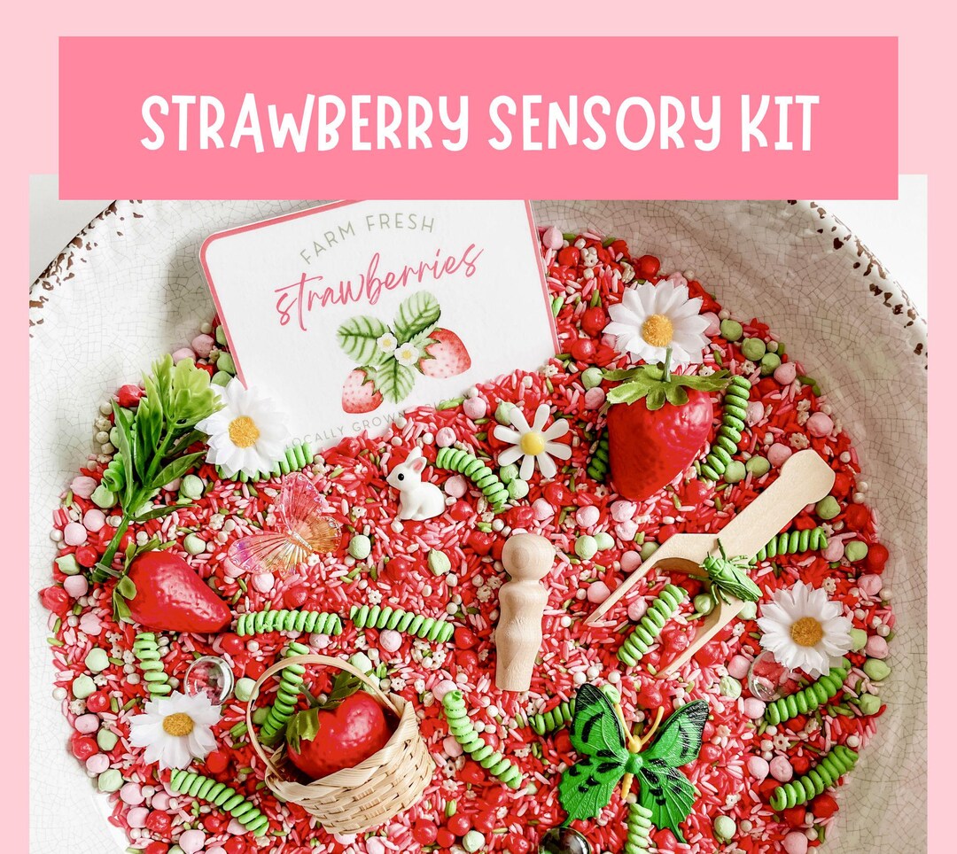 Strawberry Sensory Bin Berry Patch Sensory Bin Strawberry Sensory ...
