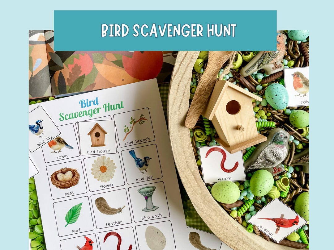 Bird Scavenger Hunt Printable - Etsy
