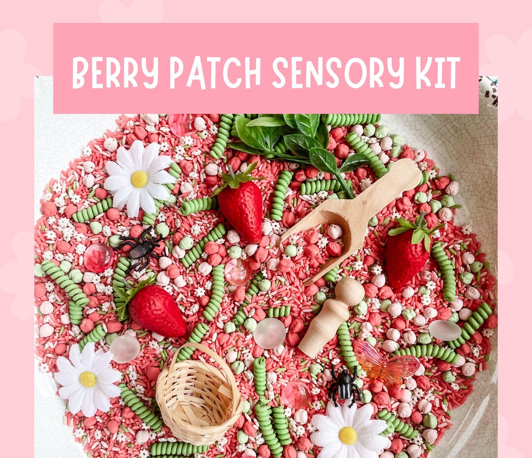 Strawberry Sensory Bin Berry Patch Sensory Bin Strawberry Sensory ...