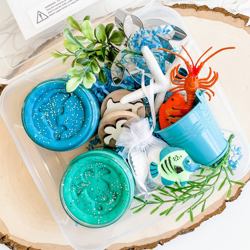 Playdough Kit - Etsy