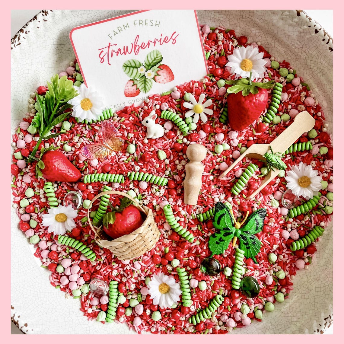 Strawberry Sensory Bin Berry Patch Sensory Bin Strawberry Sensory ...