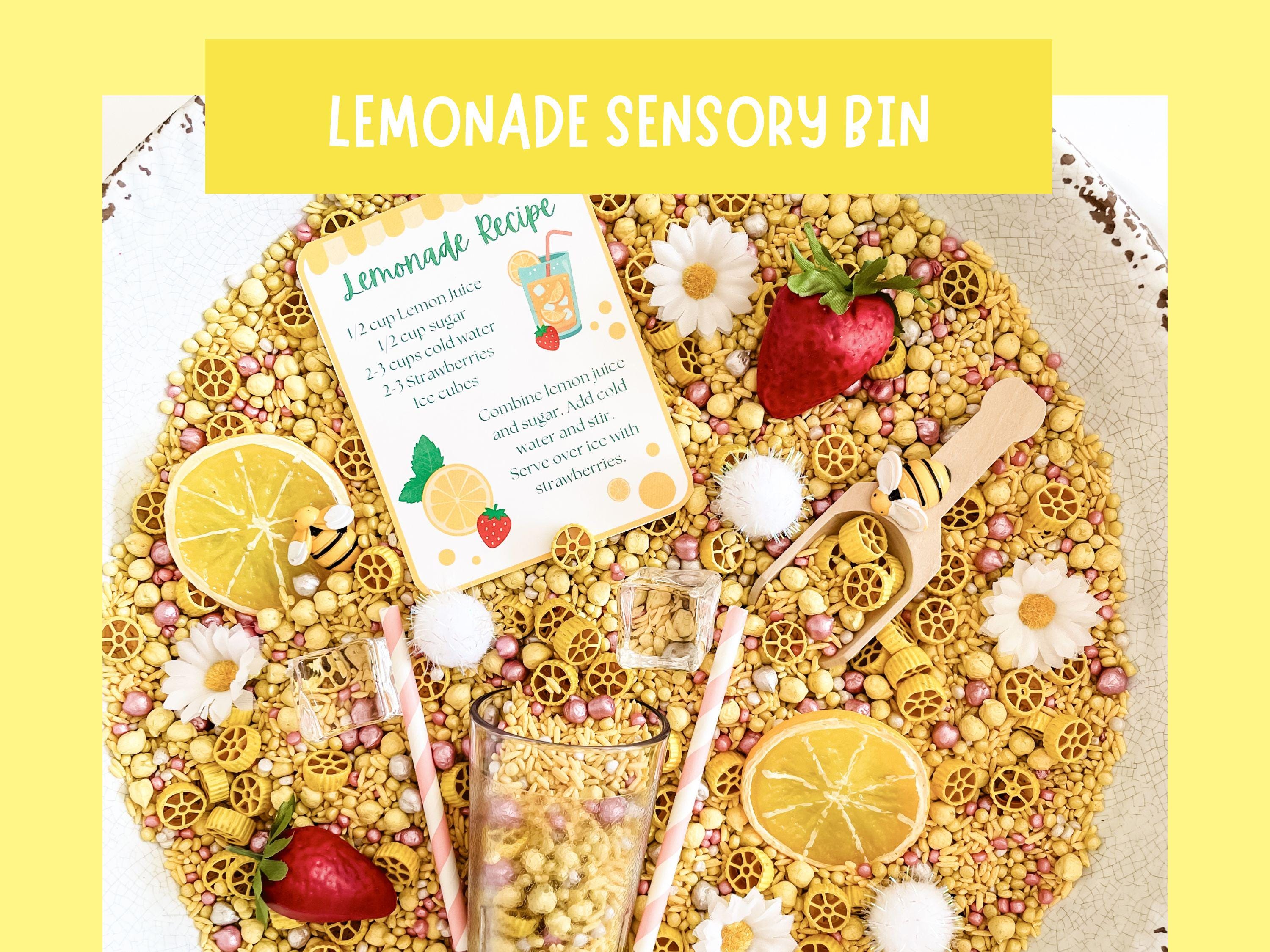Lemonade Sensory Bin Kit Lemonade Stand Pretend Play Summer Fine Motor ...