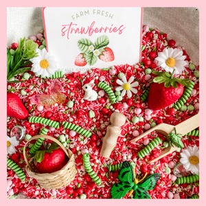 Strawberry Sensory Bin Berry Patch Sensory Bin Strawberry Sensory ...