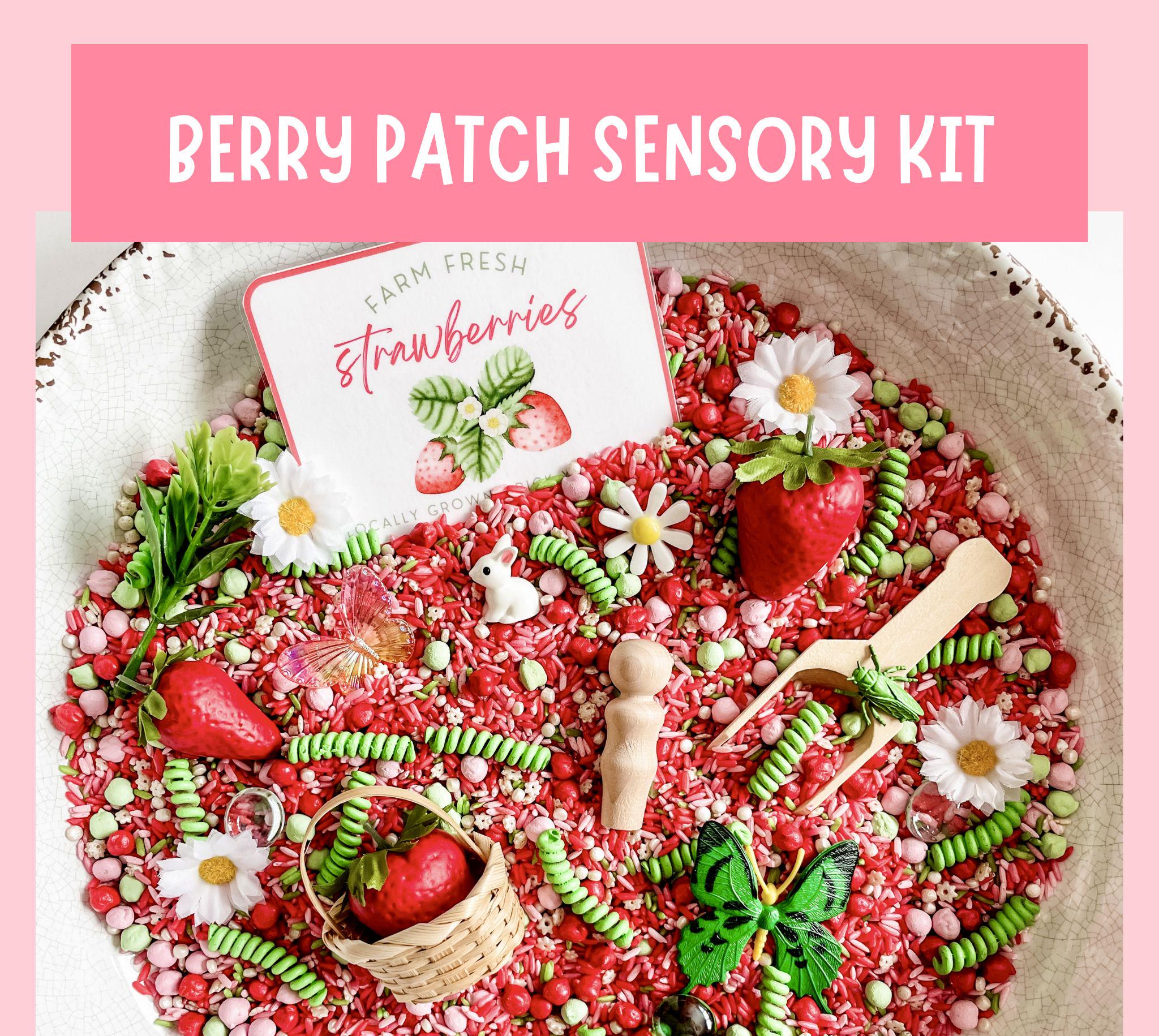 Strawberry Sensory Bin Berry Patch Sensory Bin Strawberry Sensory ...