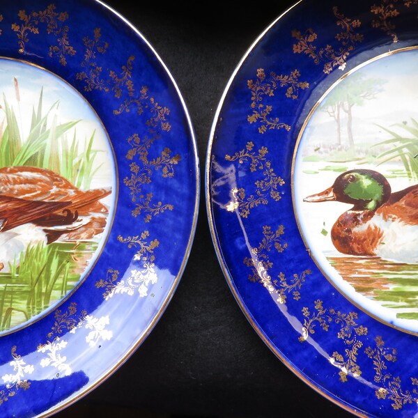 Wood Duck Plates - Etsy