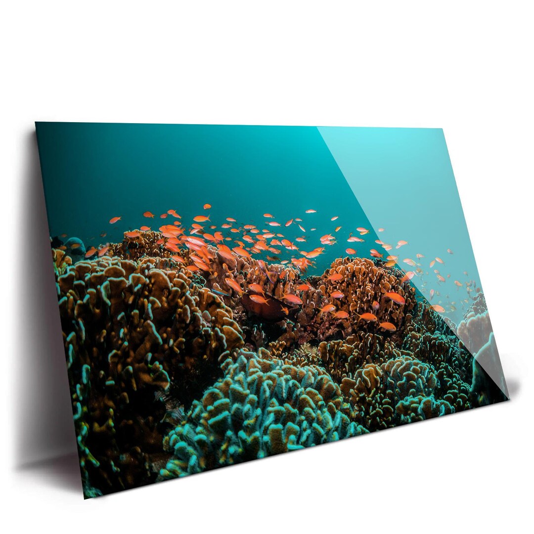 Coral Reef Metal Print - Underwater Ocean Photography - Tropical Fish ...