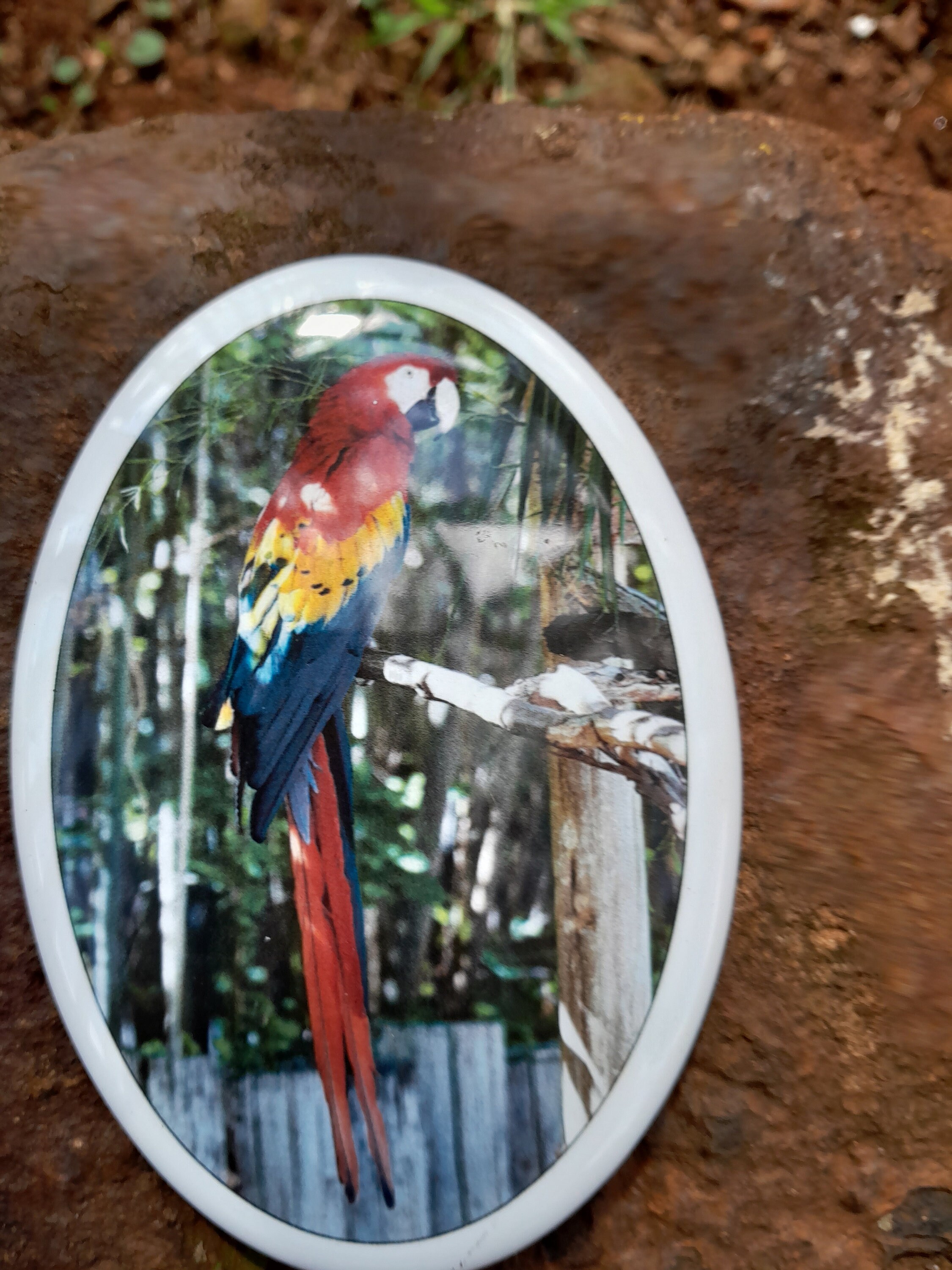 Oval Photo, Tombstones Photo, Memorial Porcelain, Personalized Oval ...