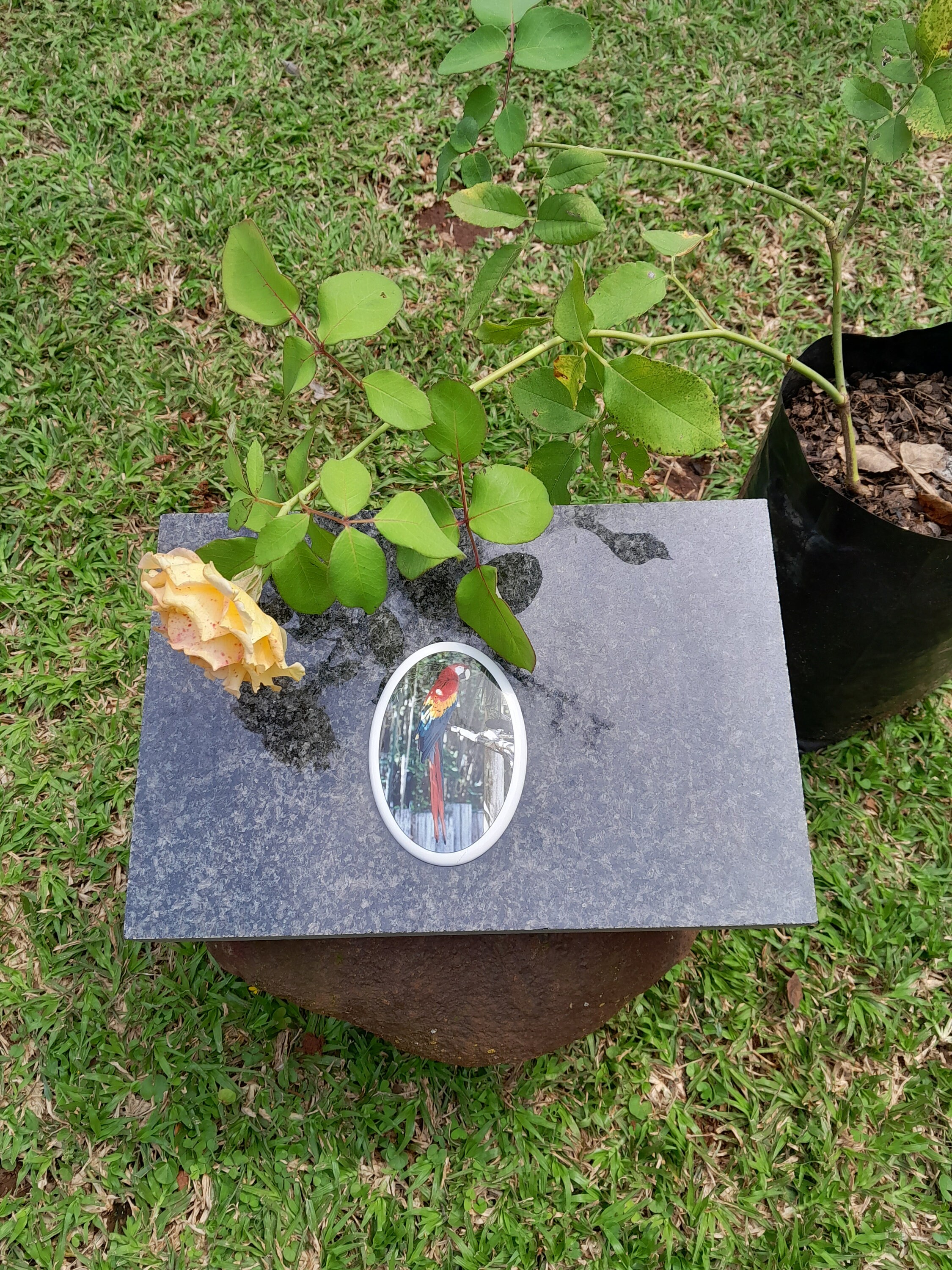 Oval Photo, Tombstones Photo, Memorial Porcelain, Personalized Oval ...