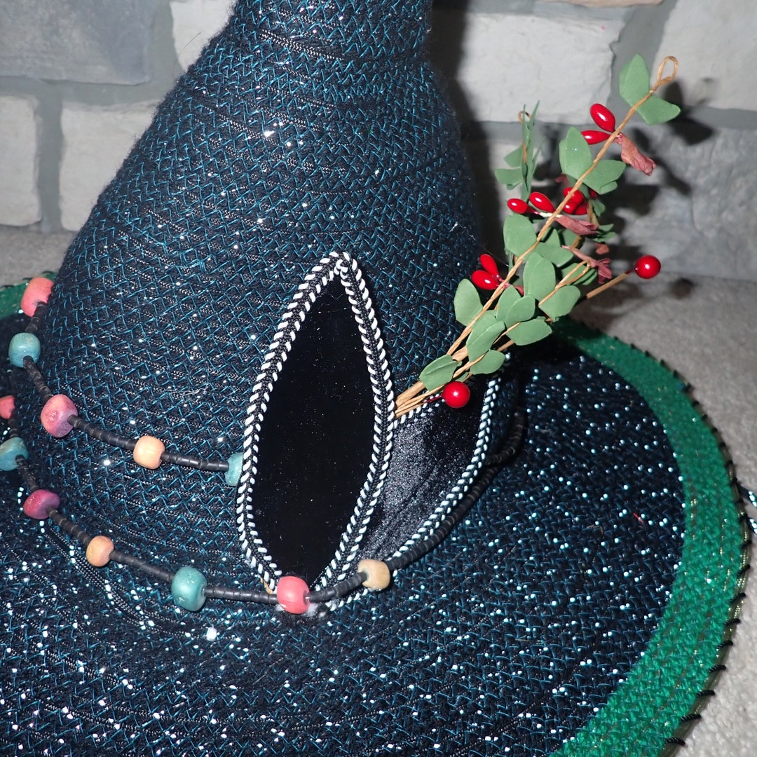 8 the Original Wicked Witch Hat used in the Music Video 'baltic Avenue ...