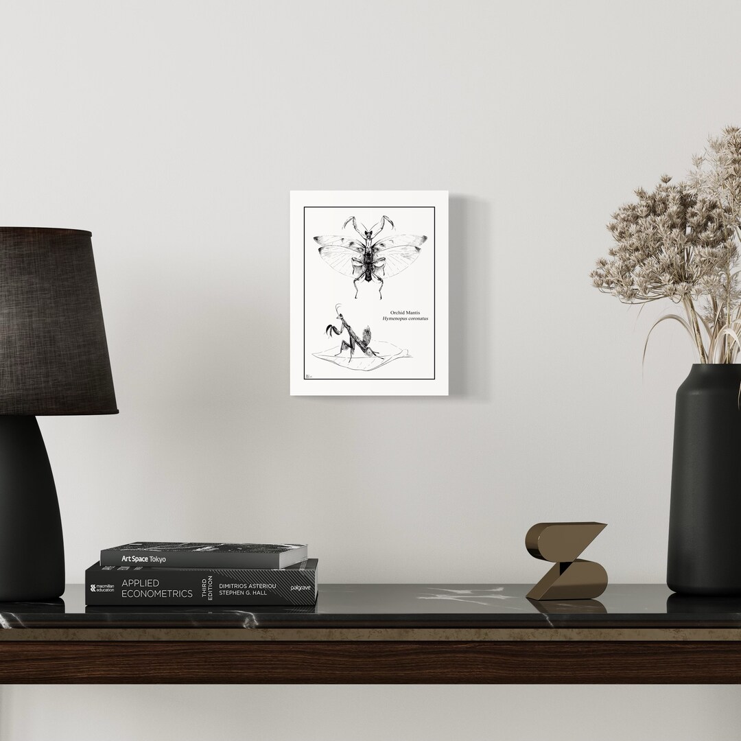 Orchid Mantis Print - Etsy