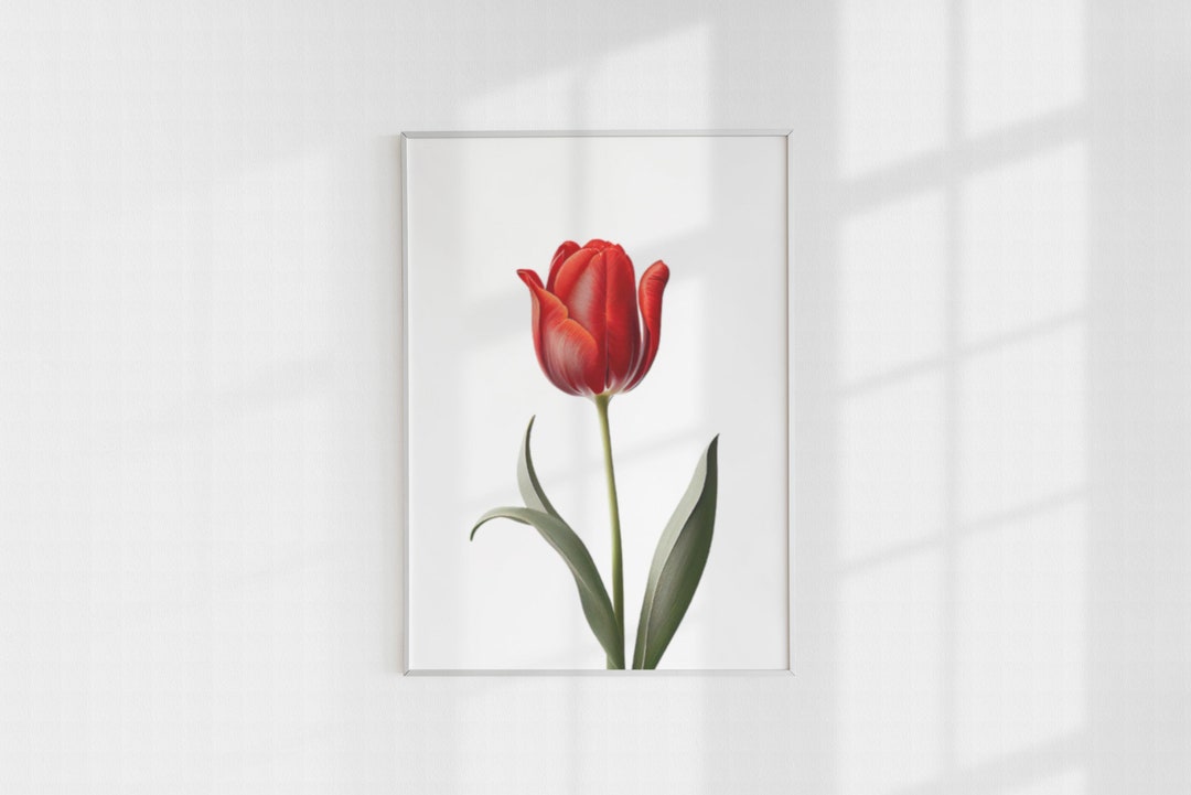 Red Tulip Digital Art Decor, Single Tulip Download, Beautiful Floral ...