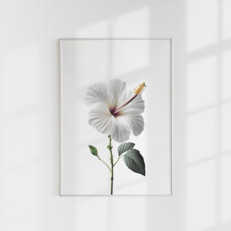 Hibiscus Digital - Etsy