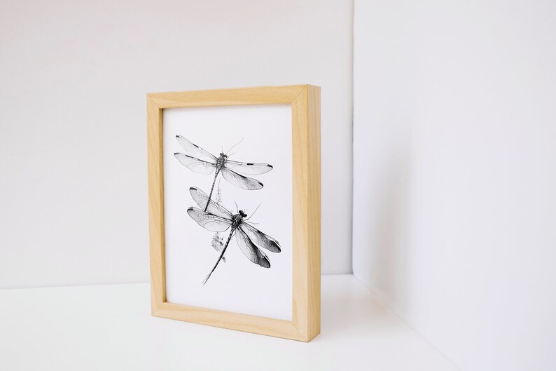 Dragonfly, Line Art, Line Art Digital Download, Dragonfly Digital Print ...