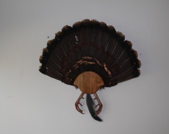 Turkey Fan Mounting Kit 4 Fan Display System Black Hammer - Etsy
