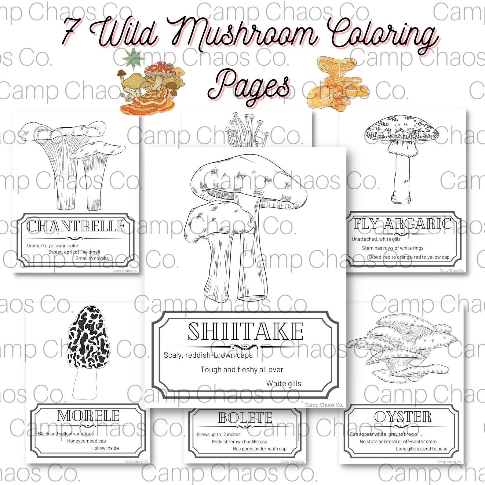 Printable Mushroom Coloring Page Bundle Nature Coloring - Etsy