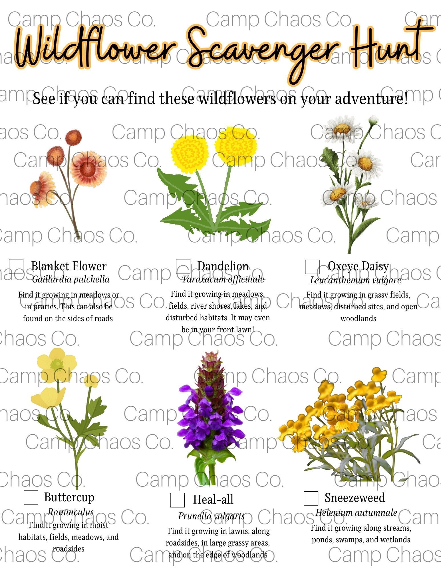Printable Wildflower Scavenger Hunt | Printable Outdoor Activity ...