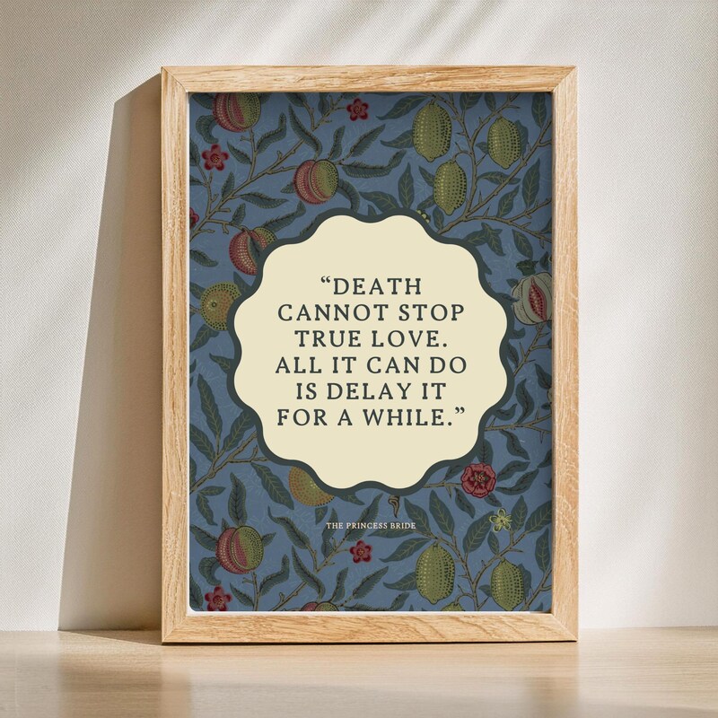 Princess Bride Quote - Etsy