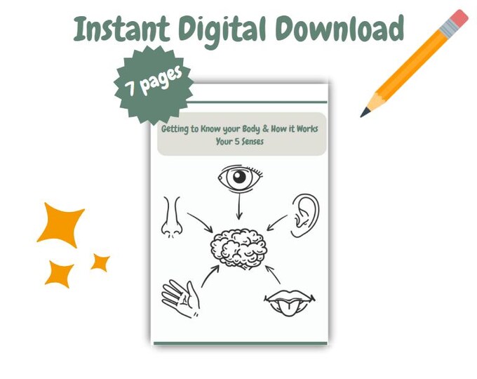 My 5 Senses Learning - Printables for Kids | Fun Science Worksheets for ...