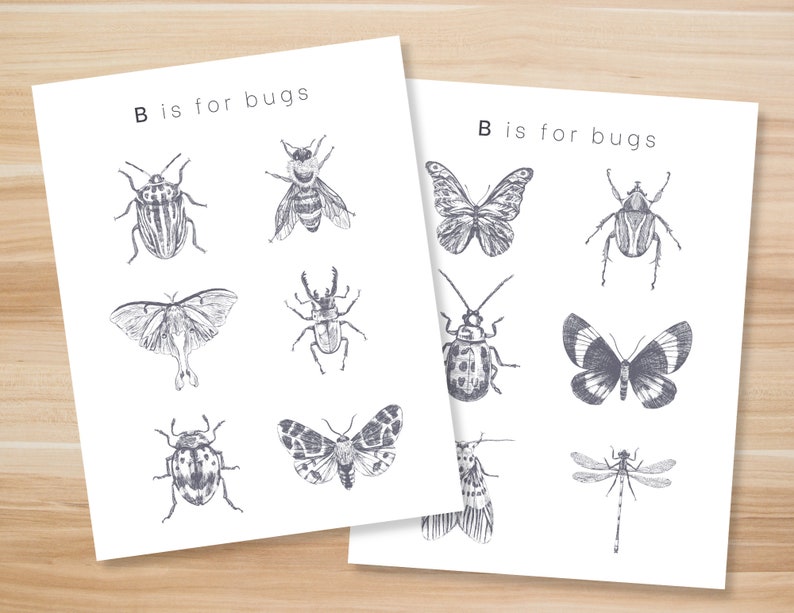 Bugs Coloring Sheet - Etsy