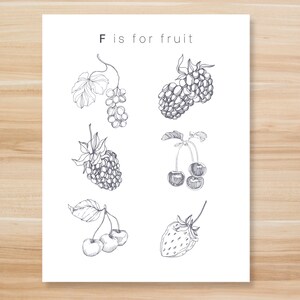 Fruit Coloring Sheet - Etsy