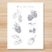 Fruit Coloring Sheet - Etsy