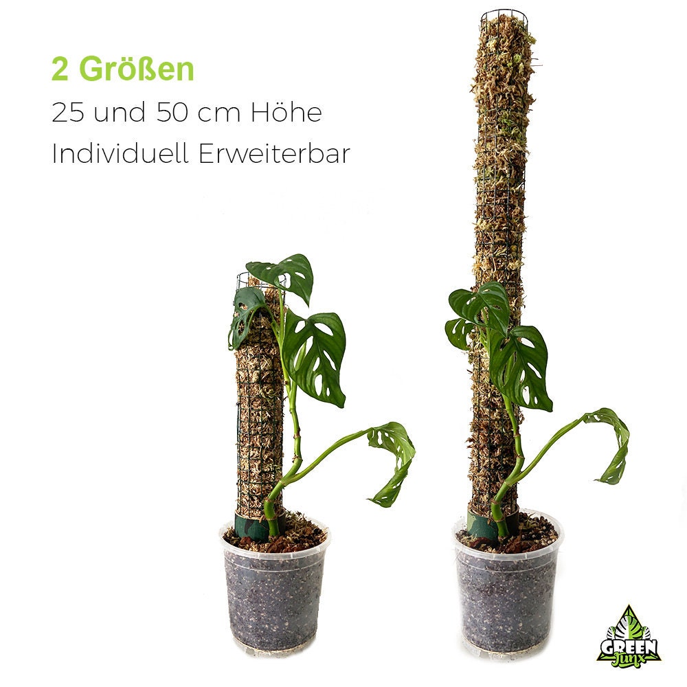 Moosstab Rankhilfe stapelbar Monstera Jungle Pflanzen Tropische ...