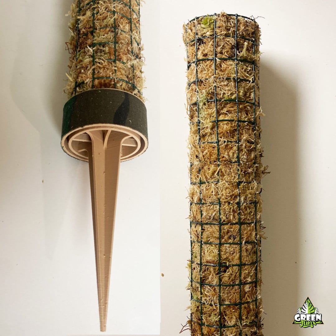 Moosstab Rankhilfe stapelbar Monstera Jungle Pflanzen Tropische ...