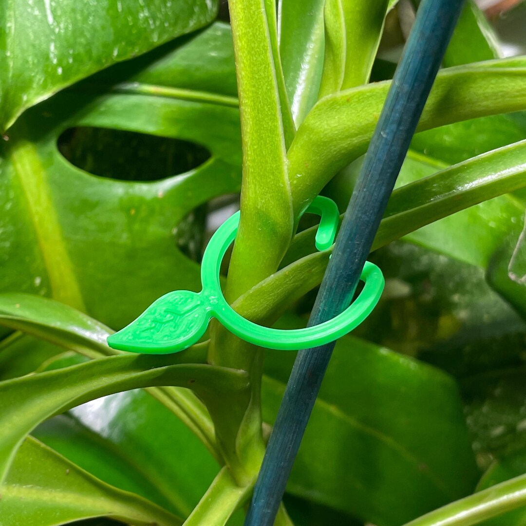 Plant Stake 'C' Clips - Secure Stems to Stakes or Trellis - Etsy