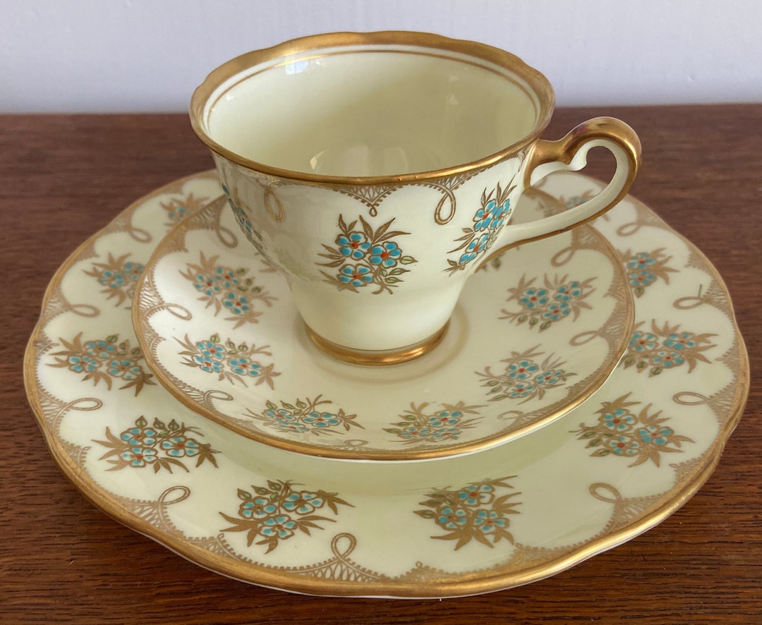 Vintage Salisbury Bone China Trio Floral Pattern With Gold Accents (B ...