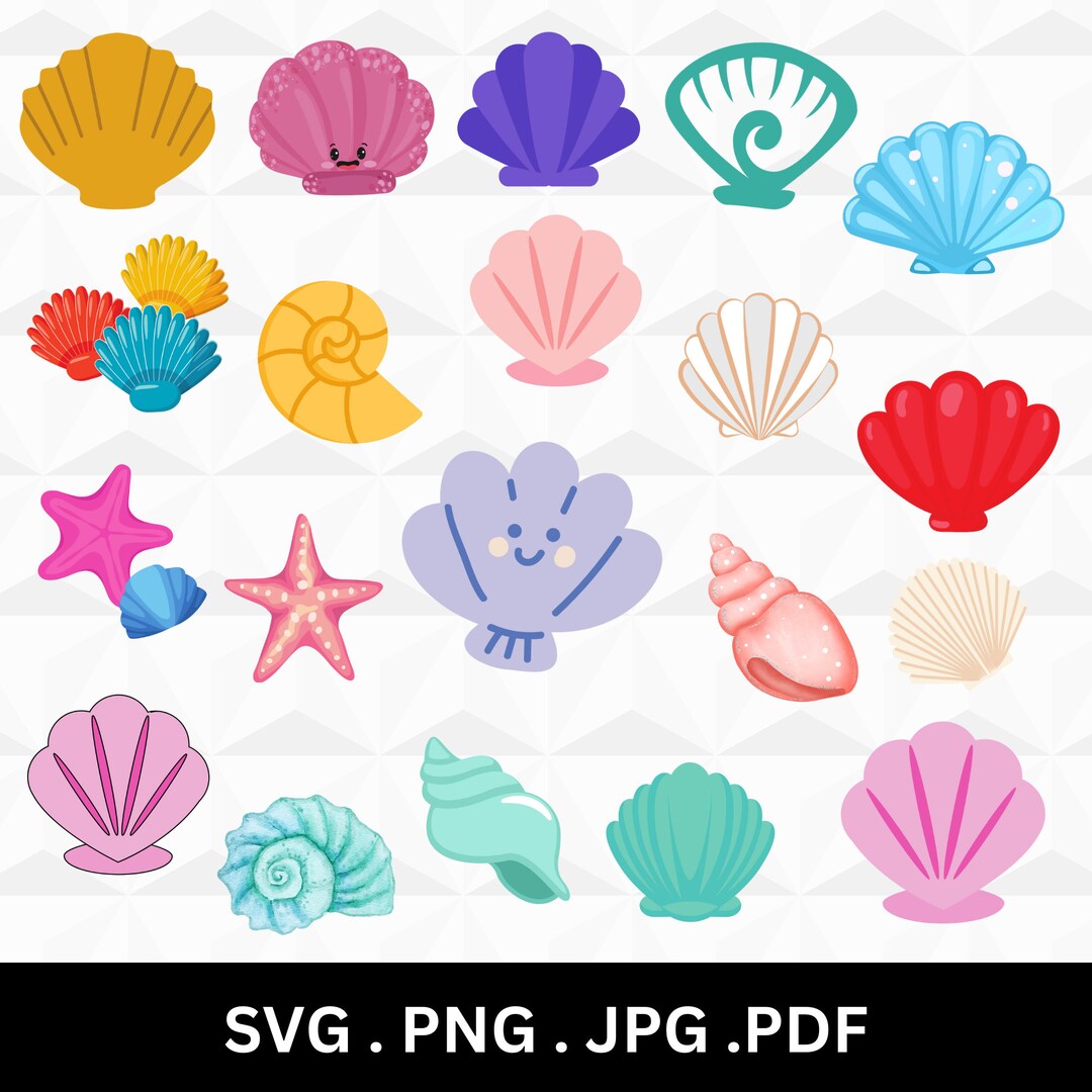 Seashell Svg, Seashell Bundle Svg, Seashell Clipart, Beach Svg, Ocean ...