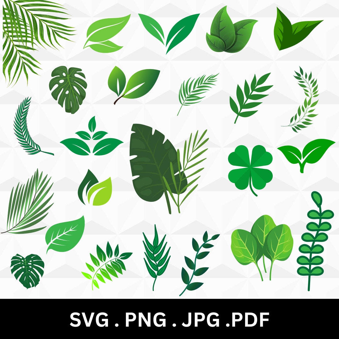 Hojas svg hojas tropicales svg imágenes prediseñadas de - Etsy España
