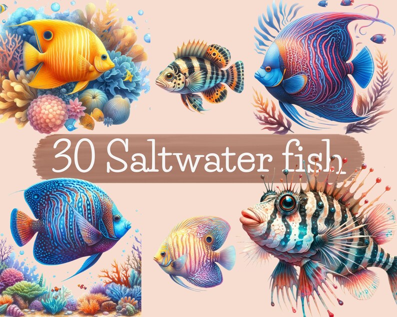 30 Watercolor Saltwater Fish Clipart Ocean Fish Illustrations, Sea Life ...