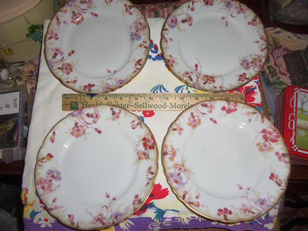 Elbogen Mignon German Porcelain Plates Set of 4 Springer & Co. - Etsy