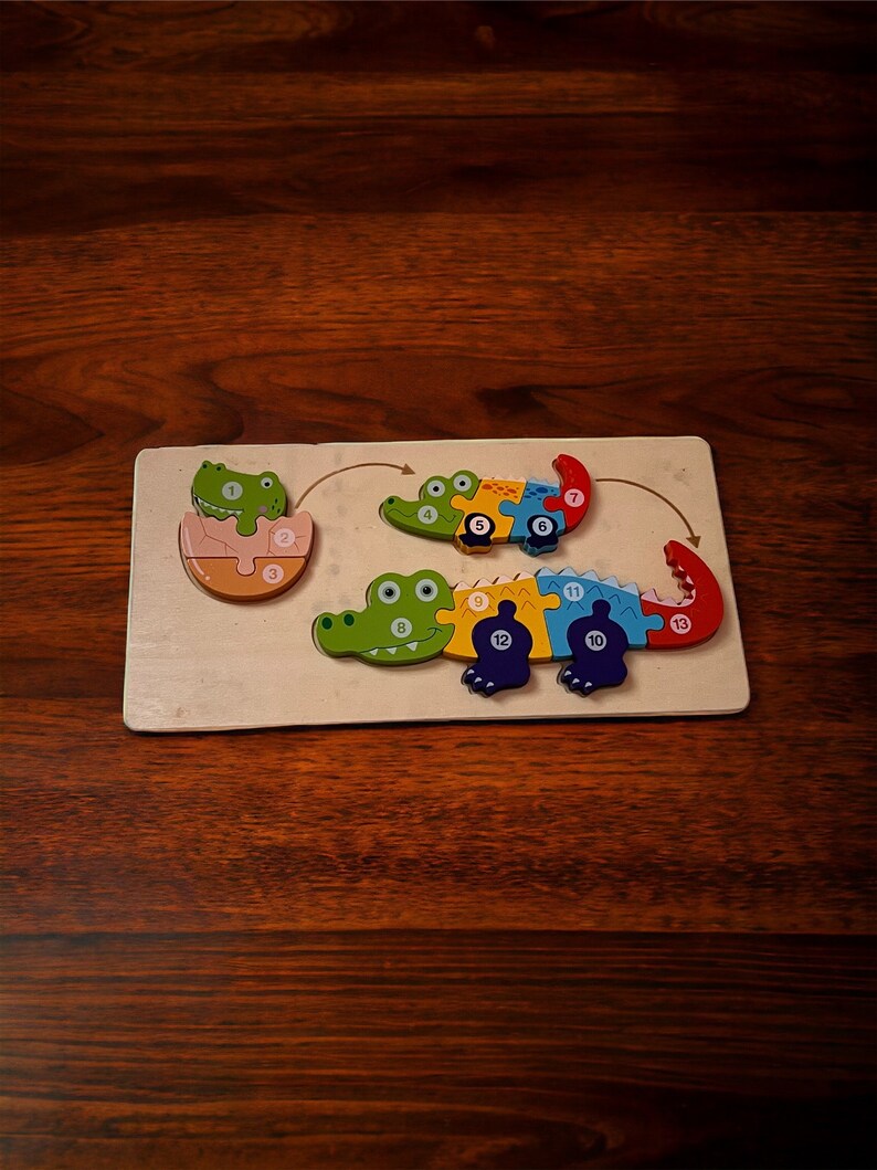 Wooden Life Cycle Puzzle Montessori Educational Toy for Toddlers Travel ...