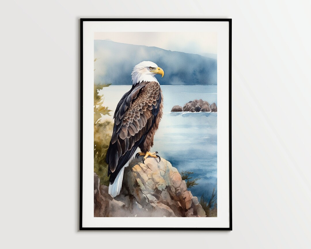 American Bald Eagle, Art, Watercolor, Nature, Wall Print, Digital ...