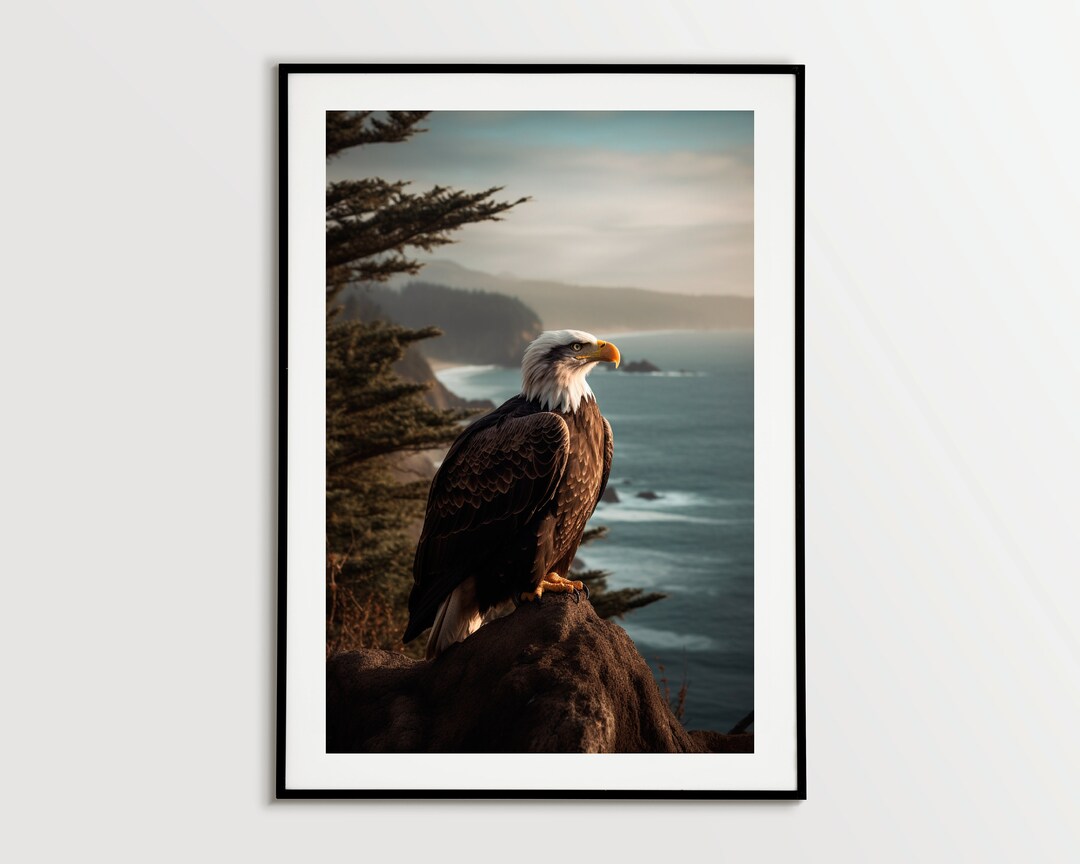 American Bald Eagle, Art, Painting, Nature, Wall Print, Digital ...