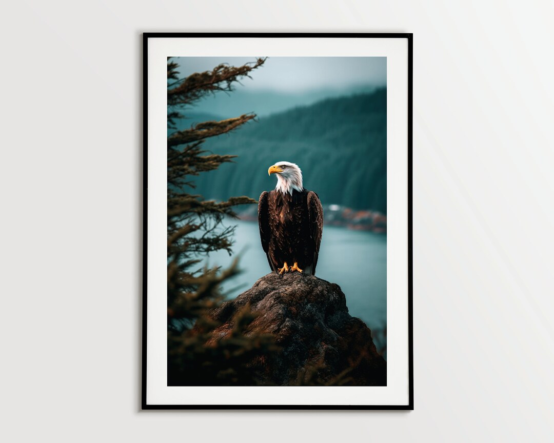 American Bald Eagle, Art, Painting, Nature, Wall Print, Digital ...