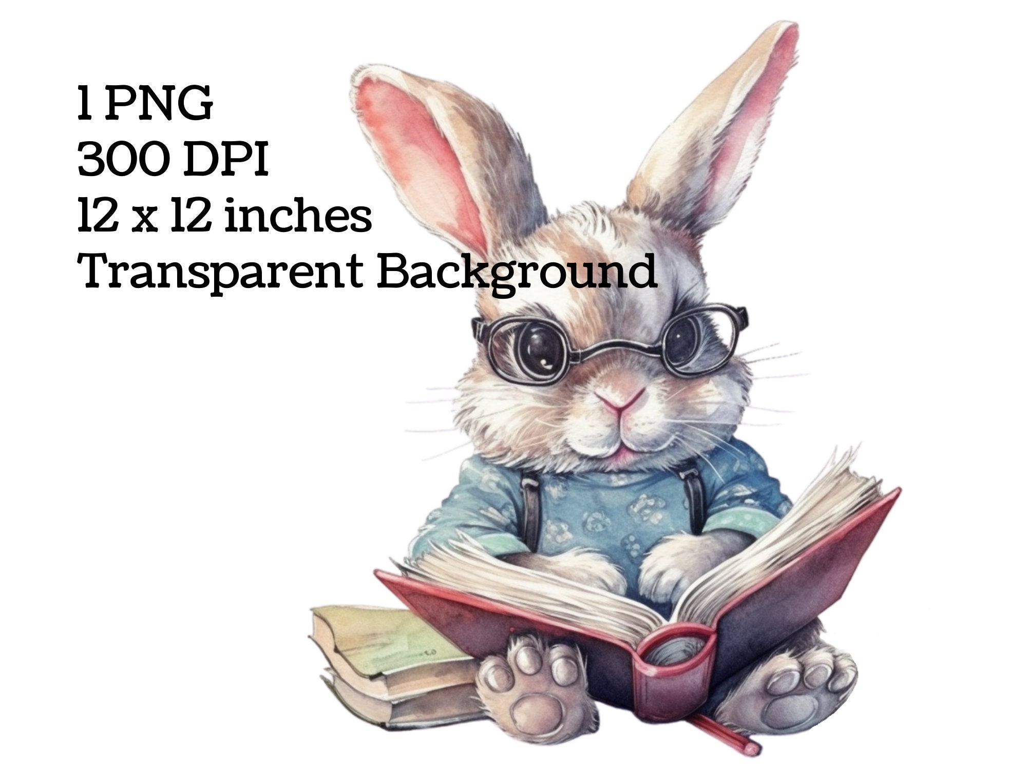 Bunny Reading A Book Clipart