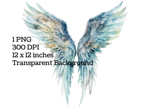 Feather Wing Clipart