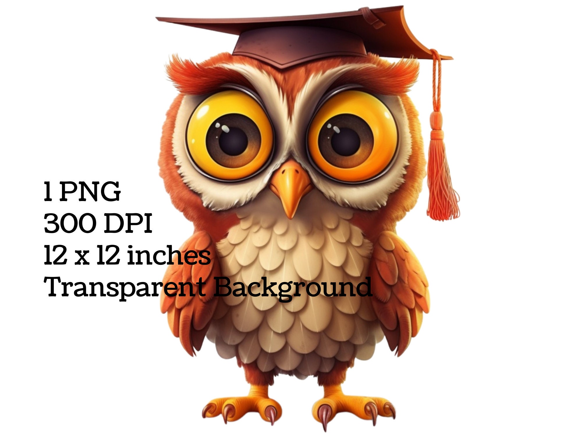 Smart Solar Bright Eyed Owl Clipart