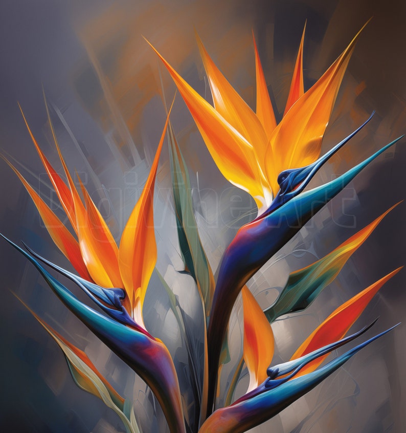 2 Bird of Paradise Flowers Images, Strelitzia Regina, Strelitzia ...