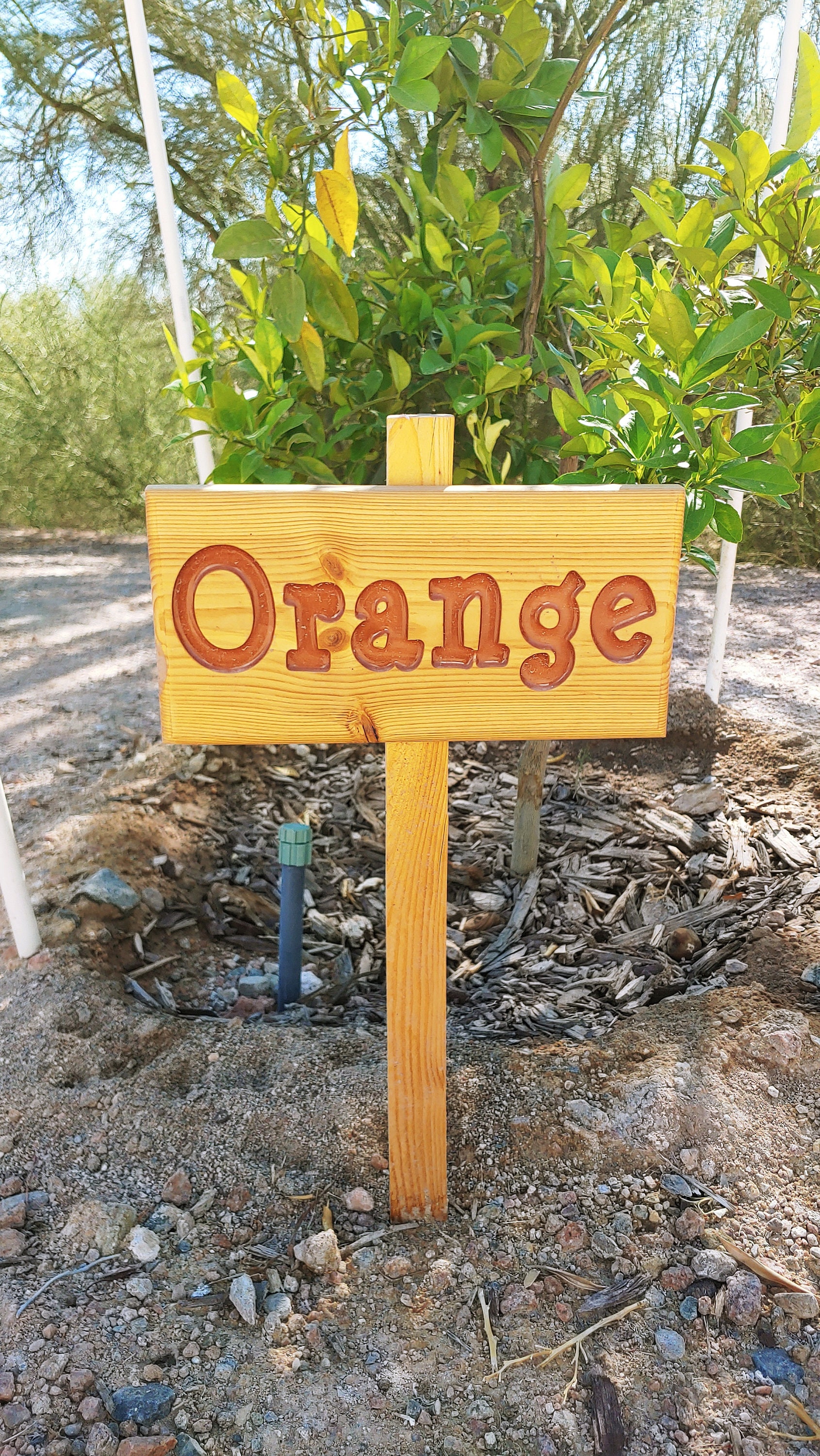 Custom Yard Sign Apple Wood Sign Outdoor Sign Yard Art - Etsy