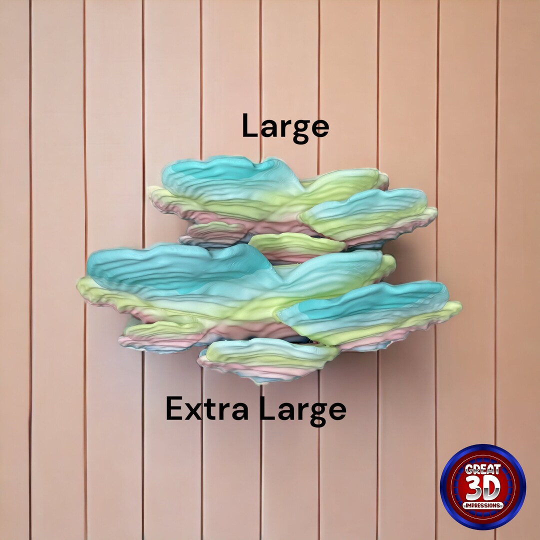 Ostrea Fungus Shelf sml, Lrg, Extra Lrg, Organic Design, Decorative and ...